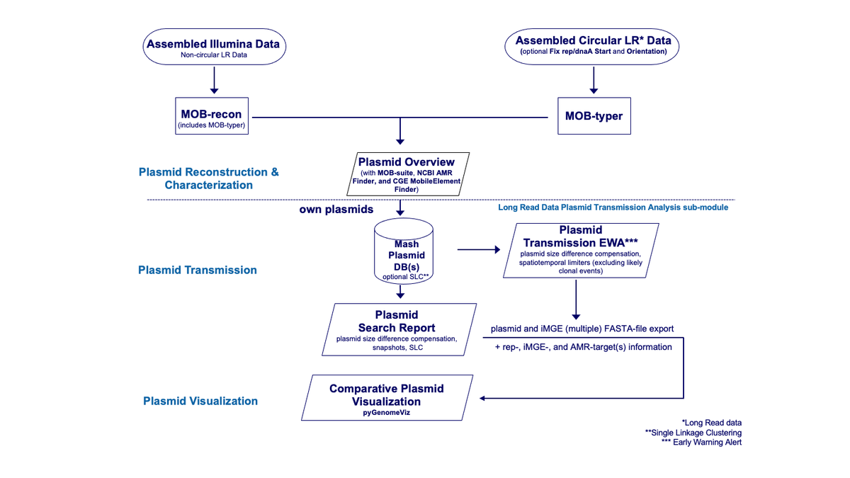 Long Read Data Plasmid Transmission Analysis Sub-Module - Ridom Typer Documentation