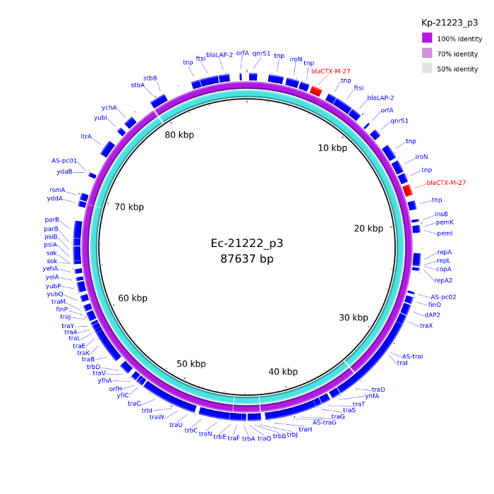 Annotated with Bakta Web and compared with BRIG